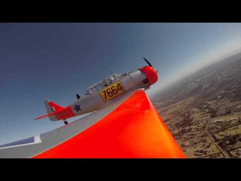 harvard 7664