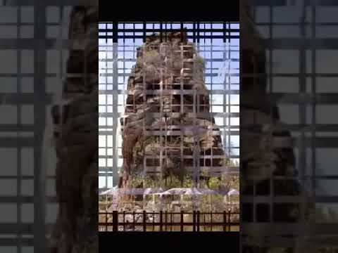 Allahın Eserleri 😀😀