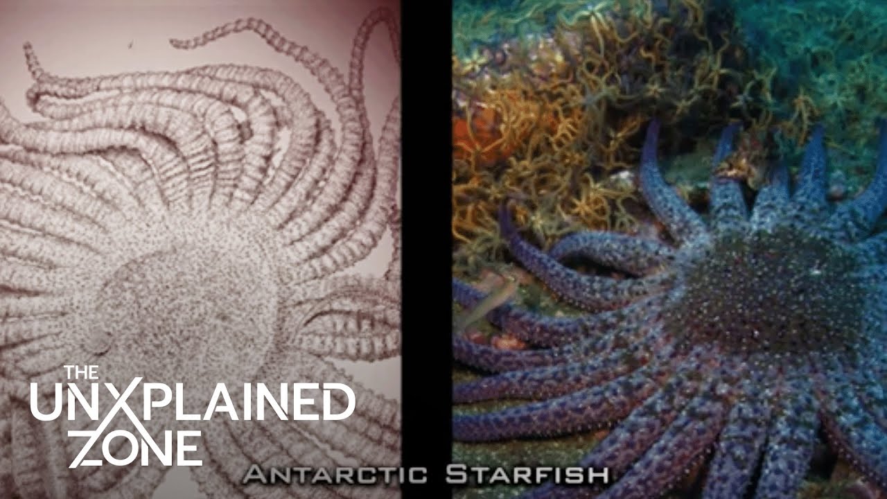 Ancient Aliens: Alien Life in the Ocean - YouTube
