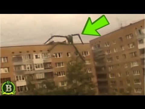 DUYMAYAN KALMASIN Kameraya Yakalanan 5 Esrarengiz Yaratık ( Video Kayıt )