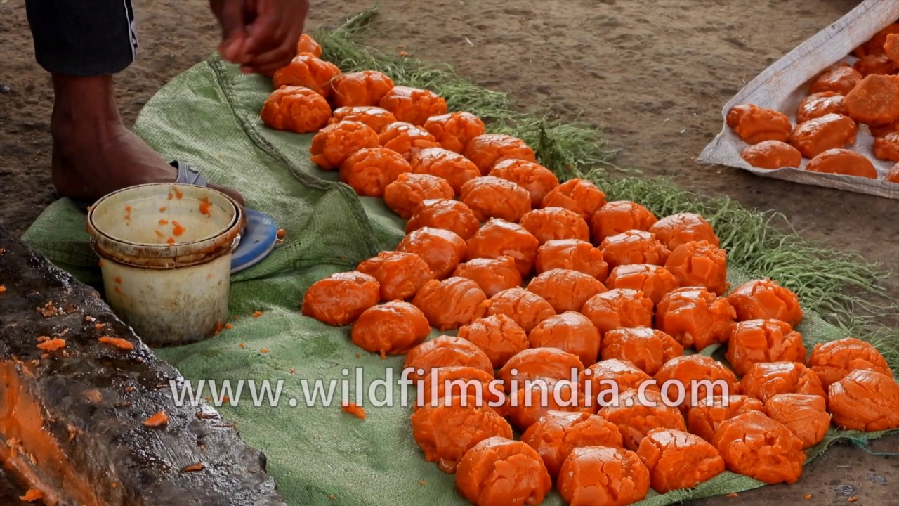 Making gurh in India - from juicing sugarcane to packing the sweet ...