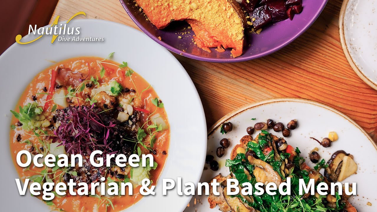 5 Night Sea of Cortez Getaway - Ocean Green #vacation #vegan # ...