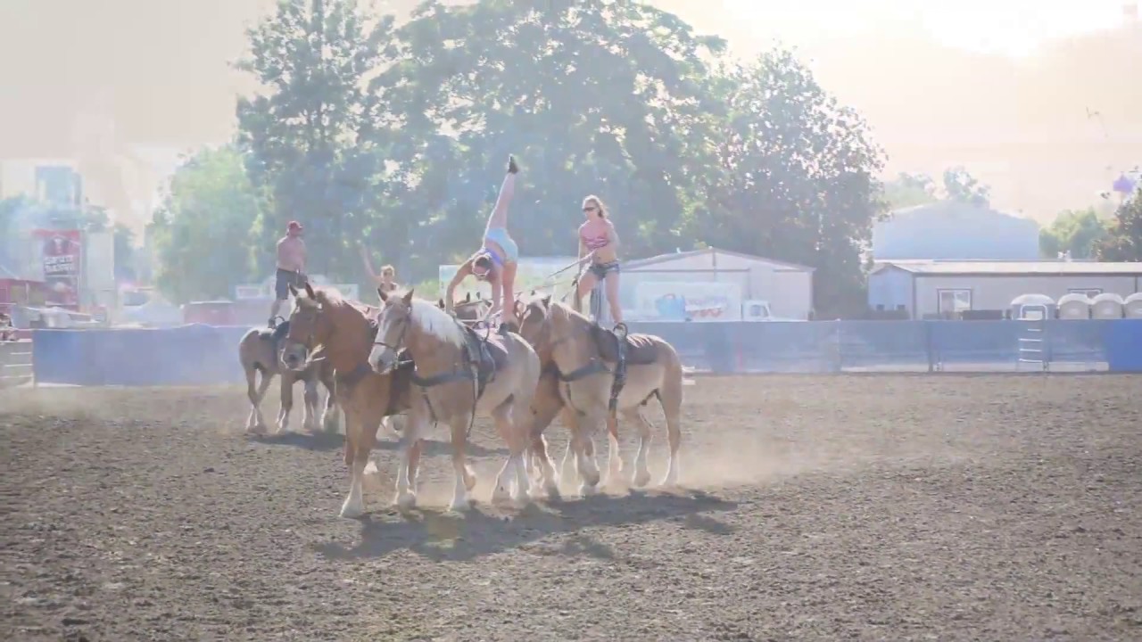 Gladius - The Show California State Fair Recap, Roman Riding and ...