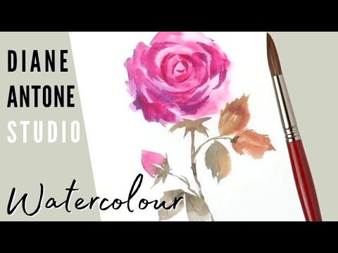 How to Paint a Watercolor Rose  - Easy Beginners Real Time Step by Step Painting Art Tutorial