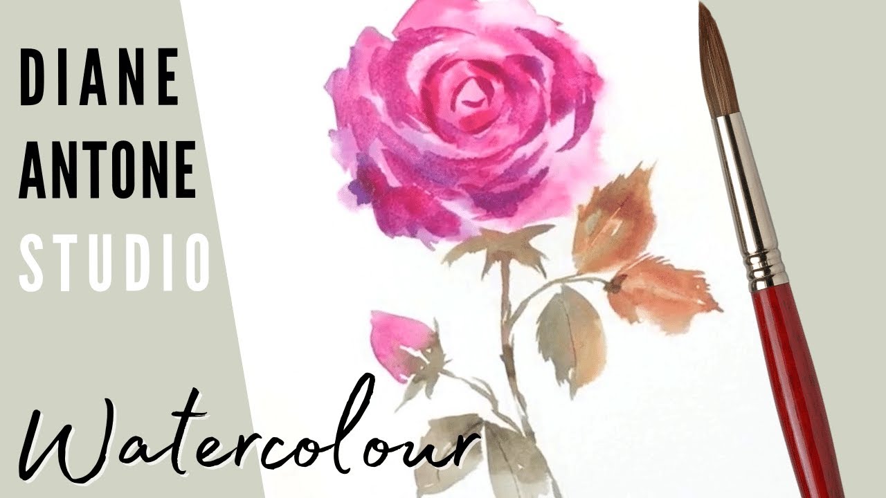 How to Paint a Watercolor Rose - Easy Beginners Real Time Step by Step ...