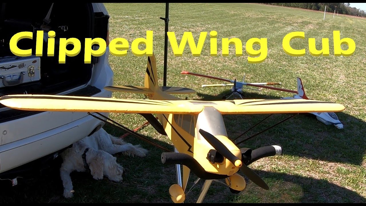 Clipped Wing Cub Fun In The LA Sun - YouTube