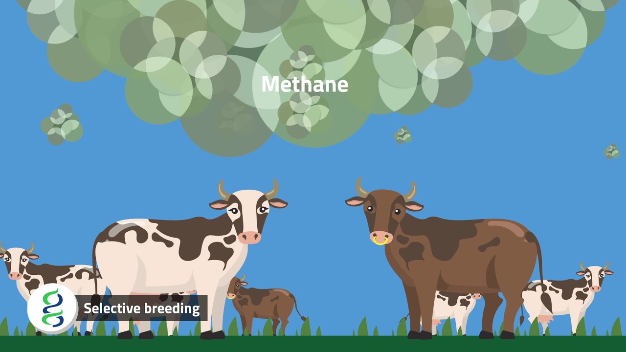 Unlock Nature's Potential: Selective Breeding Benefits Revealed