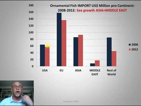 Global aquarium fish industry: data of export & import of ornamental ...