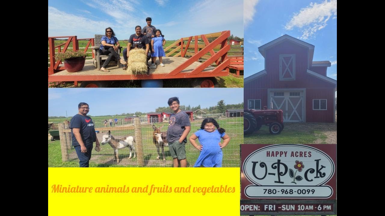 Everything You Need to Know About Happy Acre U-Pick Farm - YouTube
