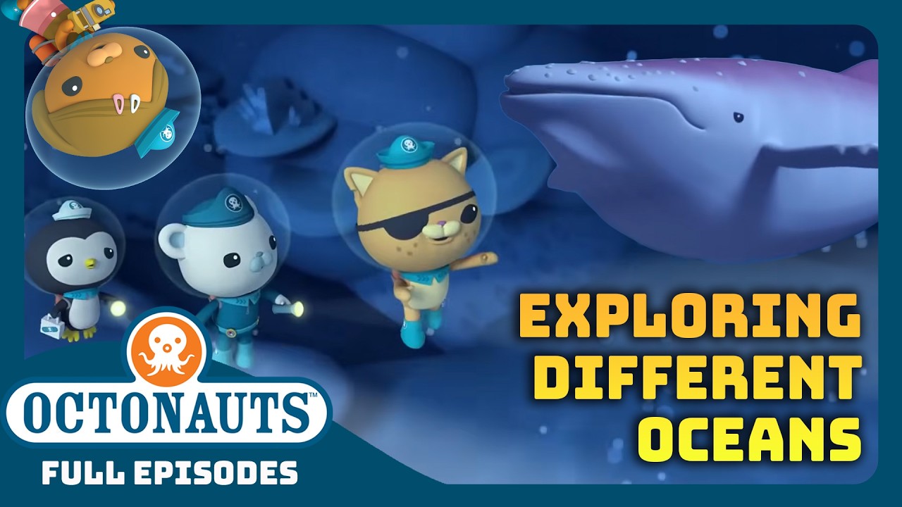 @Octonauts - 🤿 Exploring Different Oceans 🌊 | 2 Hours+ Full Episodes ...