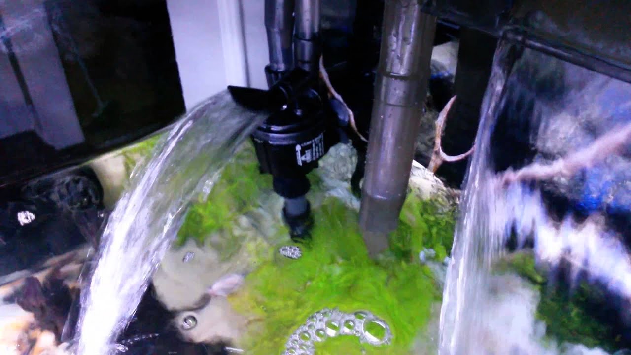 Cobalt Aquatics EXT Flow Rate - YouTube
