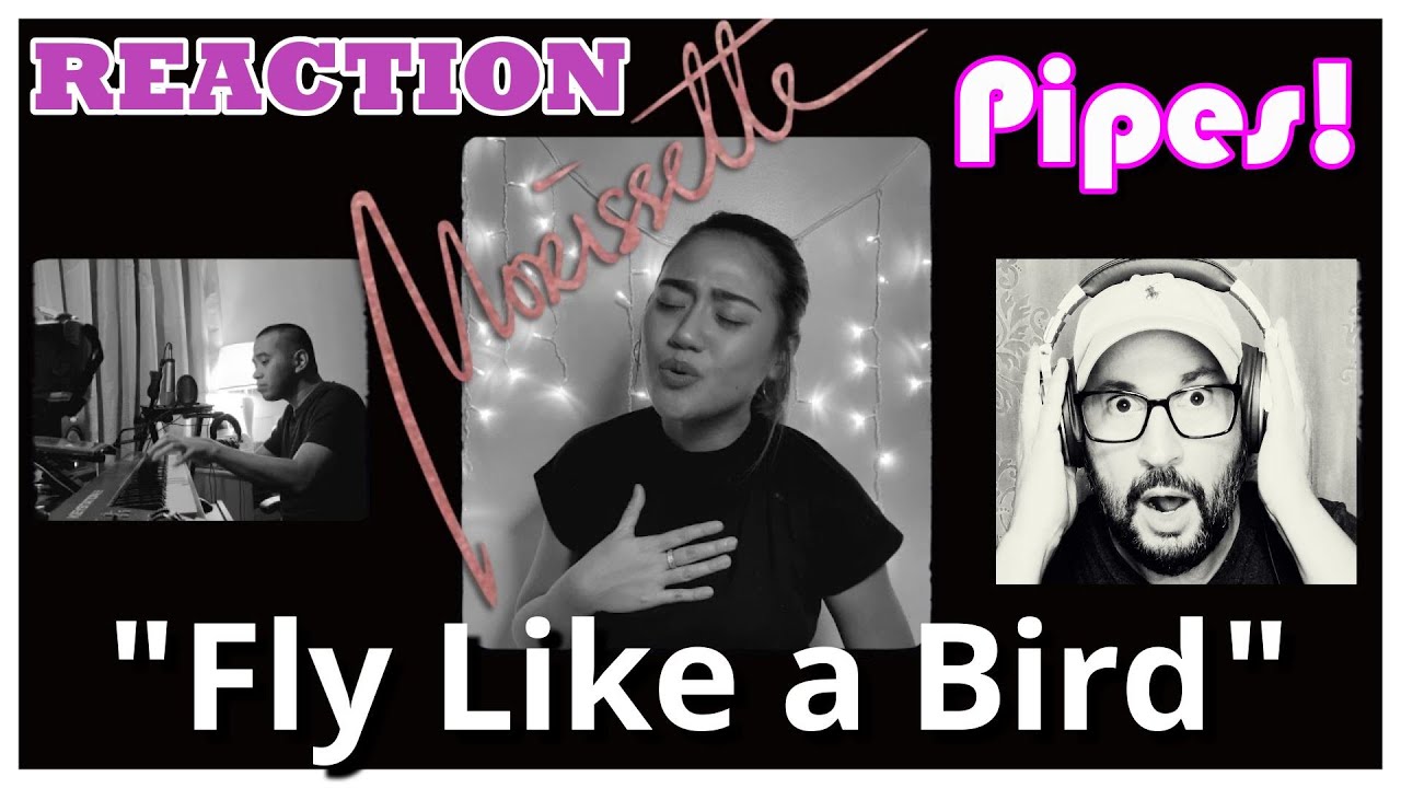 𝙼𝚘𝚛𝚒𝚜𝚜𝚎𝚝𝚝𝚎 _ 'Fly like a Bird' (cover) REACTION. "Girls got PIPES ...