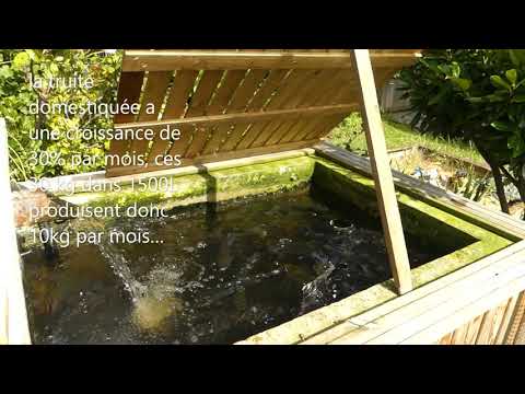 l'Aquaponie Naturelle de la truite - YouTube