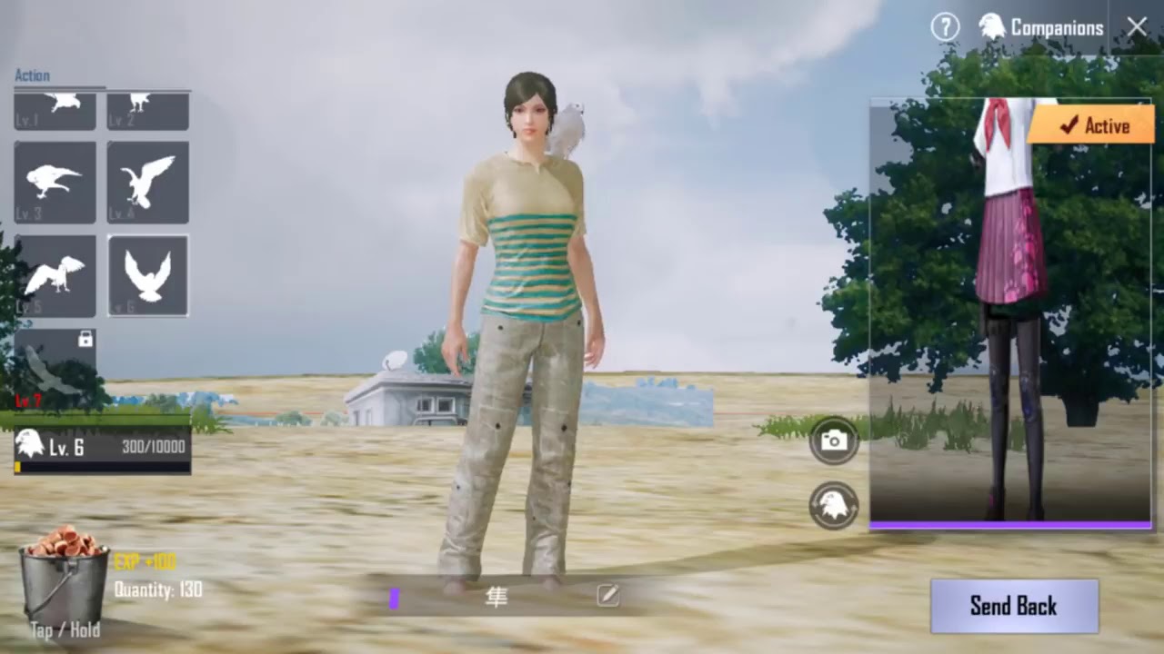 How To Get Bird Companion On Pubg Mobile | New Update - YouTube