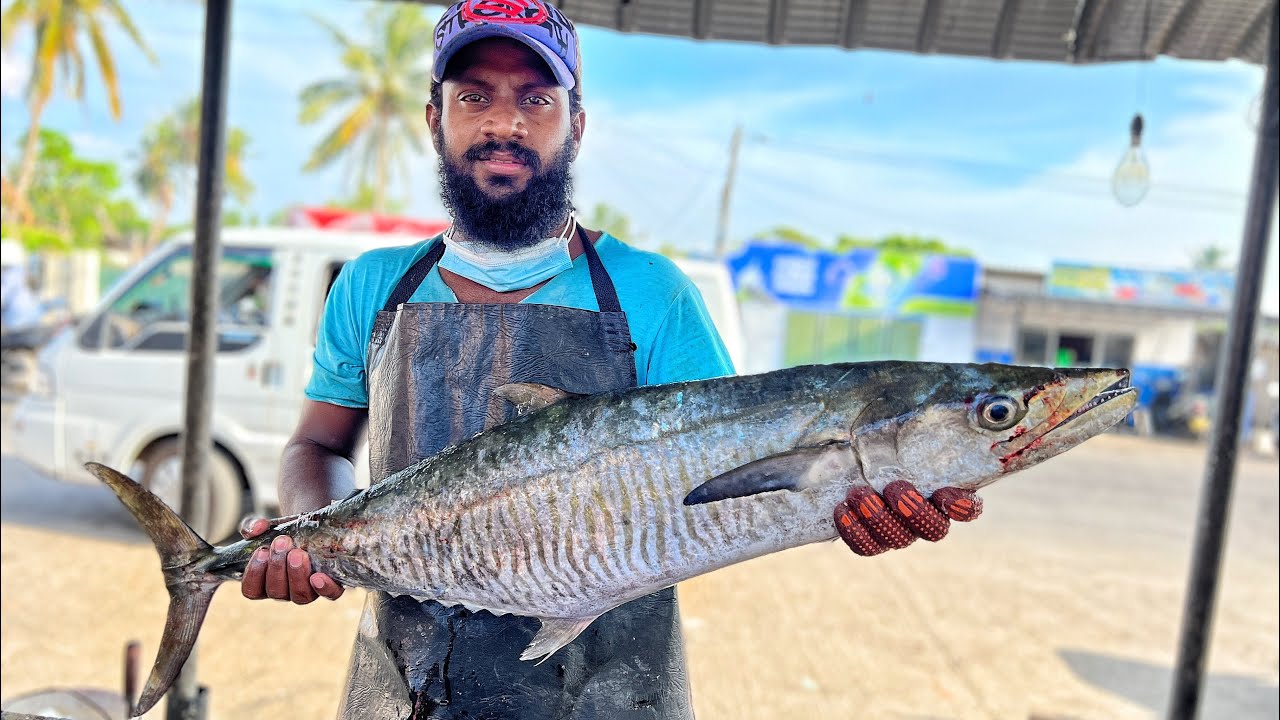 Huge King Fish Slicing | Fresh Seer Fish Slicing by Mr. Nissanka 🇱🇰 ...