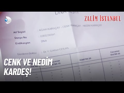 DNA Testi Ceren'in ELİNDE! - Zalim İstanbul 34. Bölüm
