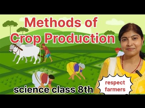 crop production || methods of crop production ||science || class 8th || ncert || 2024-2025 - YouTube