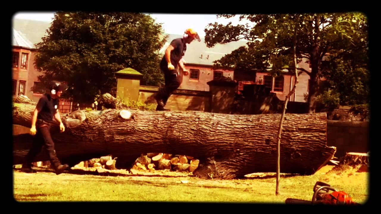 Kelly Tree Care - YouTube