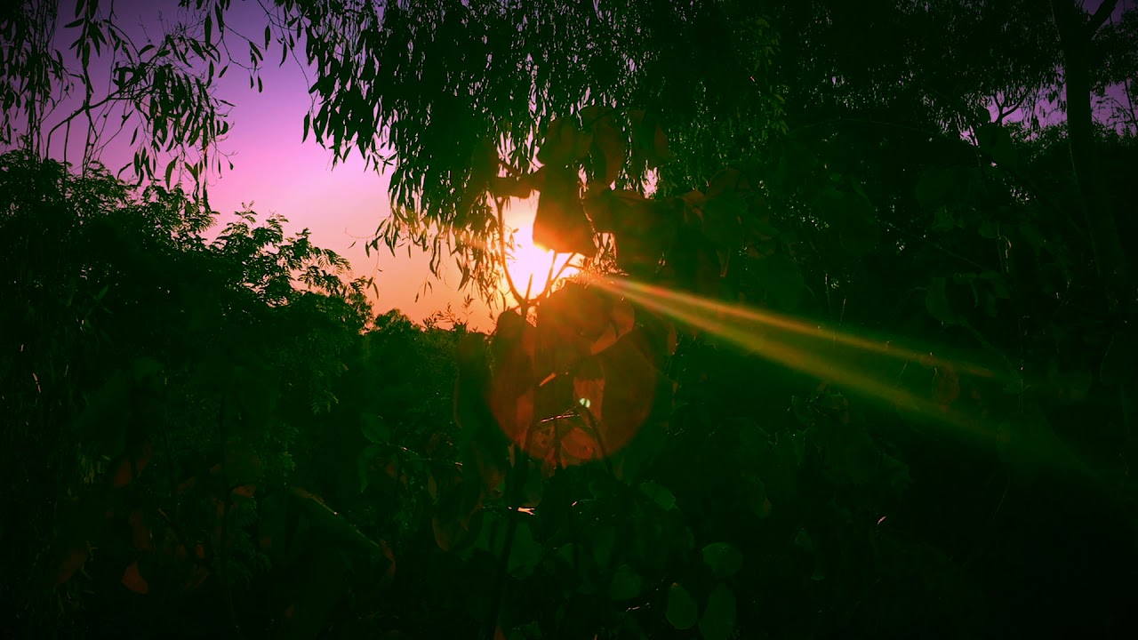 Bread - Felix Rabito [in a meadow effect] - YouTube