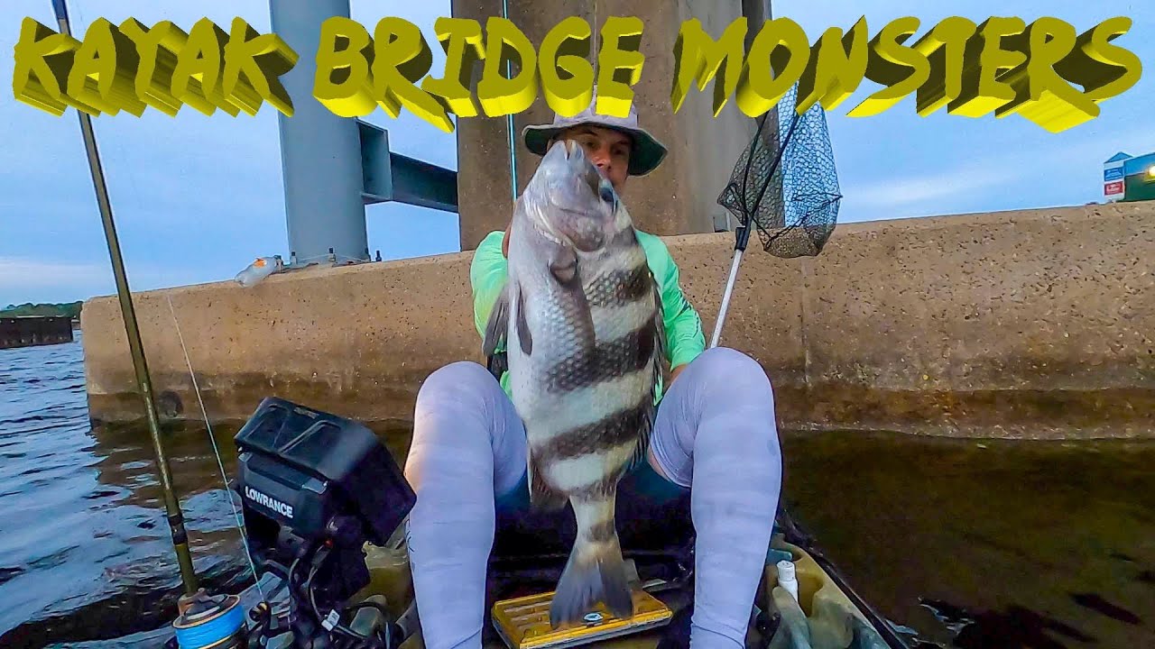 Giant Fish on Light Tackle - Bridge Fishing for Sheepshead and More ...