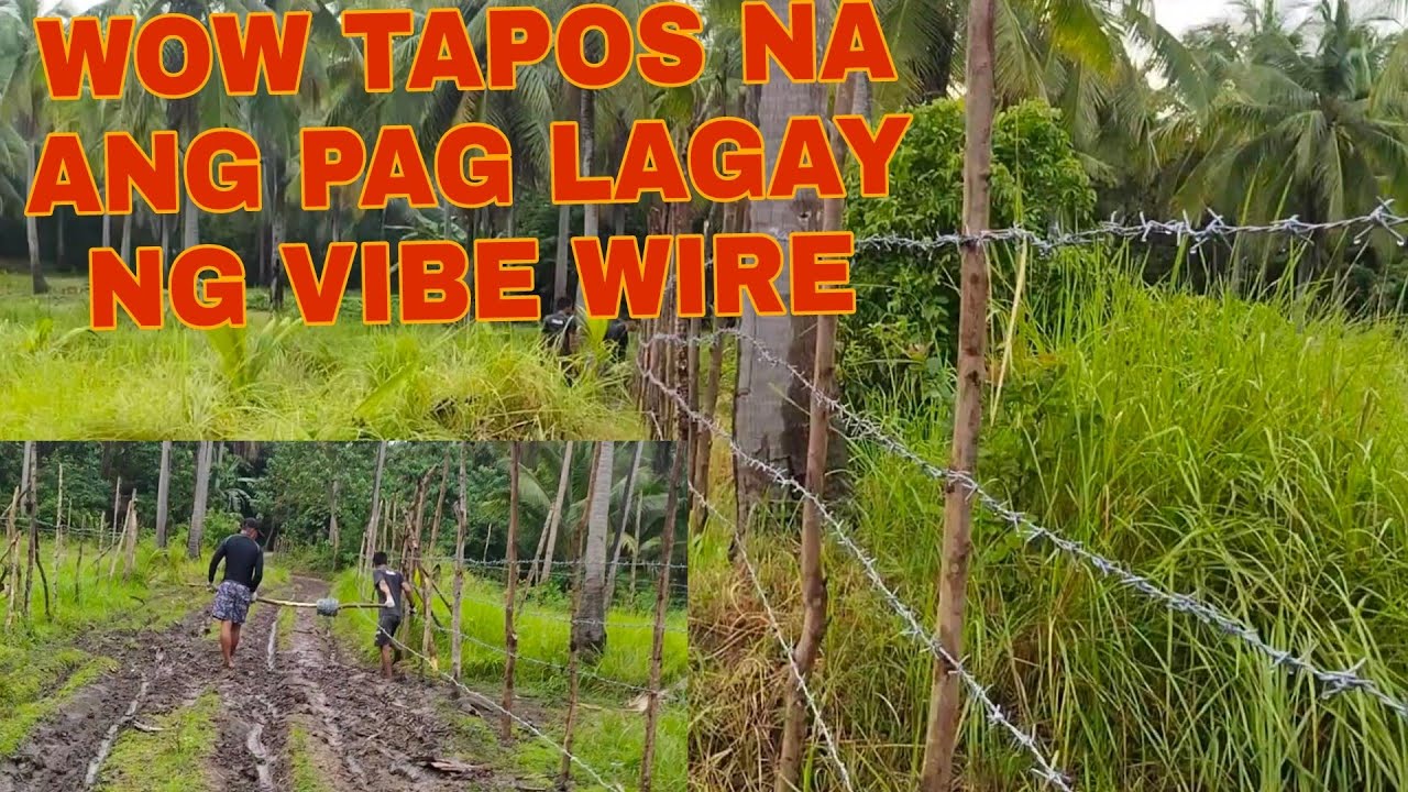 WOW TAPOS NA MAG LAGAY NG VIBE WIRE SA LUPA NI SER MIKE - YouTube