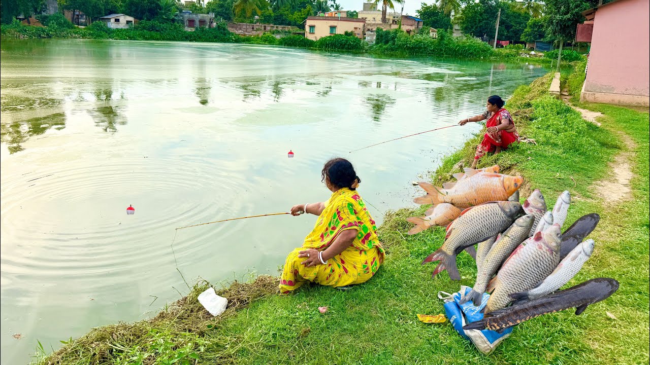 Fishing Video || Grandpa is fishing in a village pond using sigma bait ...
