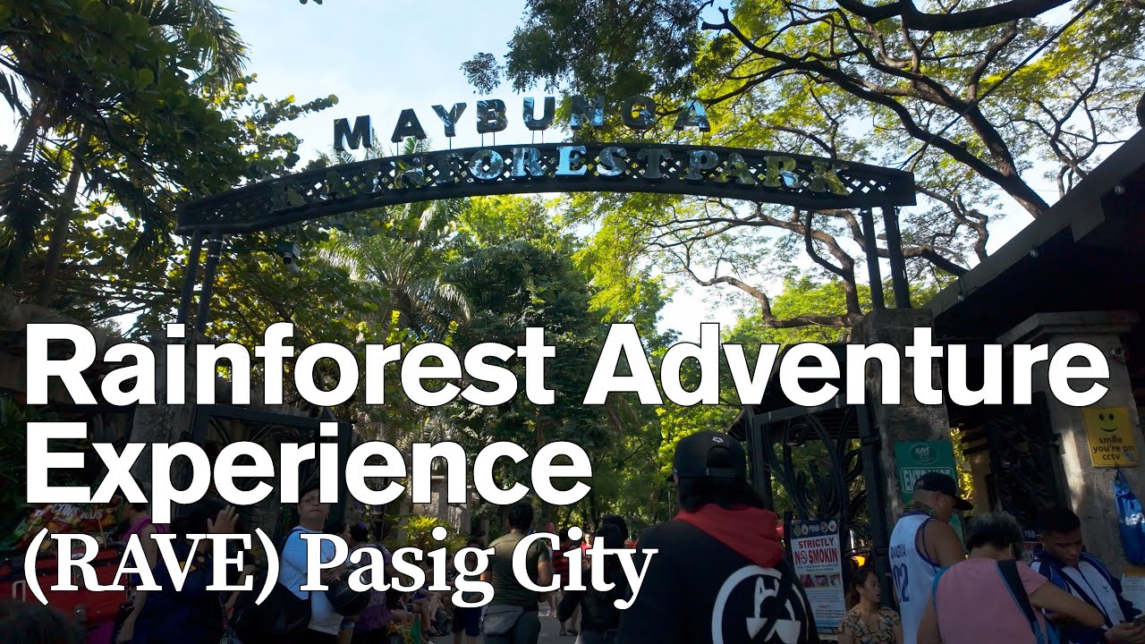 🌳 Walk Around Pasig Rainforest Park | Nature Escape in the City 🚶‍♂️🌿 ...