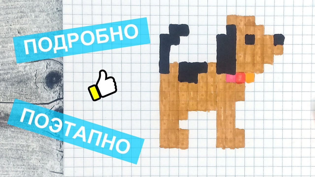 Как нарисовать собаку по клеточкам в тетради Видео Рисунки по
