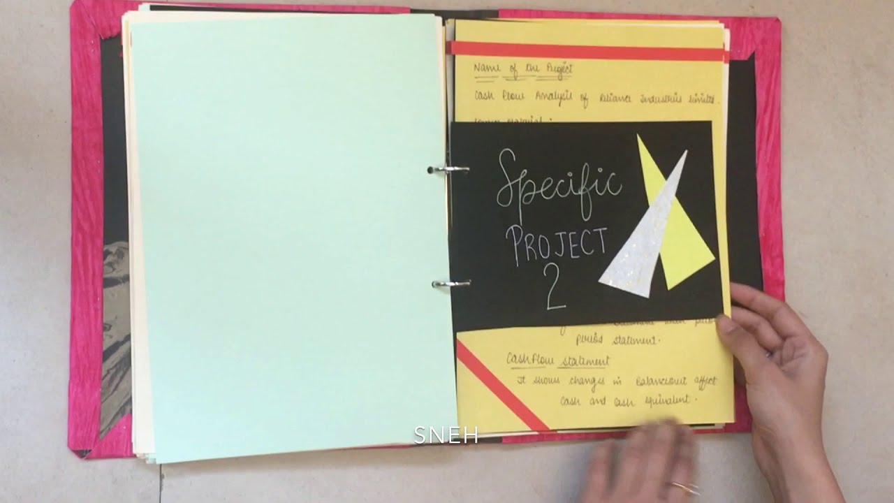 Full Accountancy Project on Reliance Industries Limited - Class 12 ...