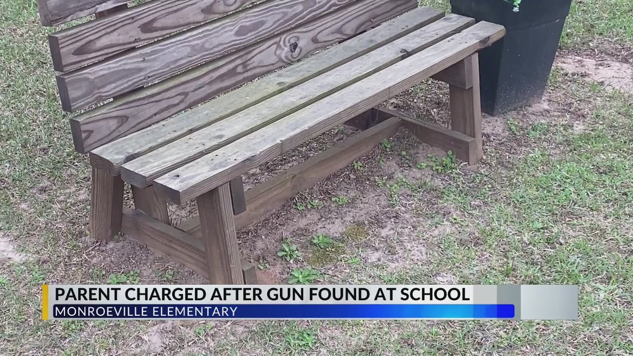 Parent charged after second grader brings loaded gun to school - YouTube