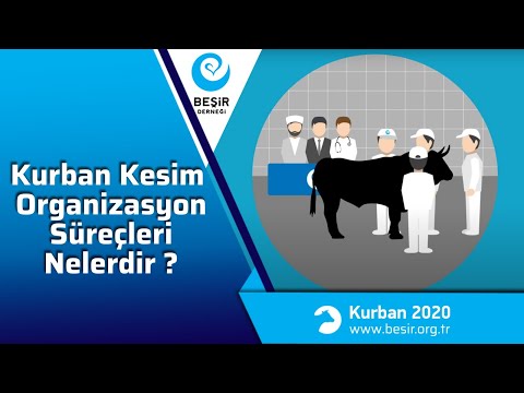 Beşir Derneği Kurban Kesim Organizasyon Süreçleri Nelerdir ? - Kurban 2020