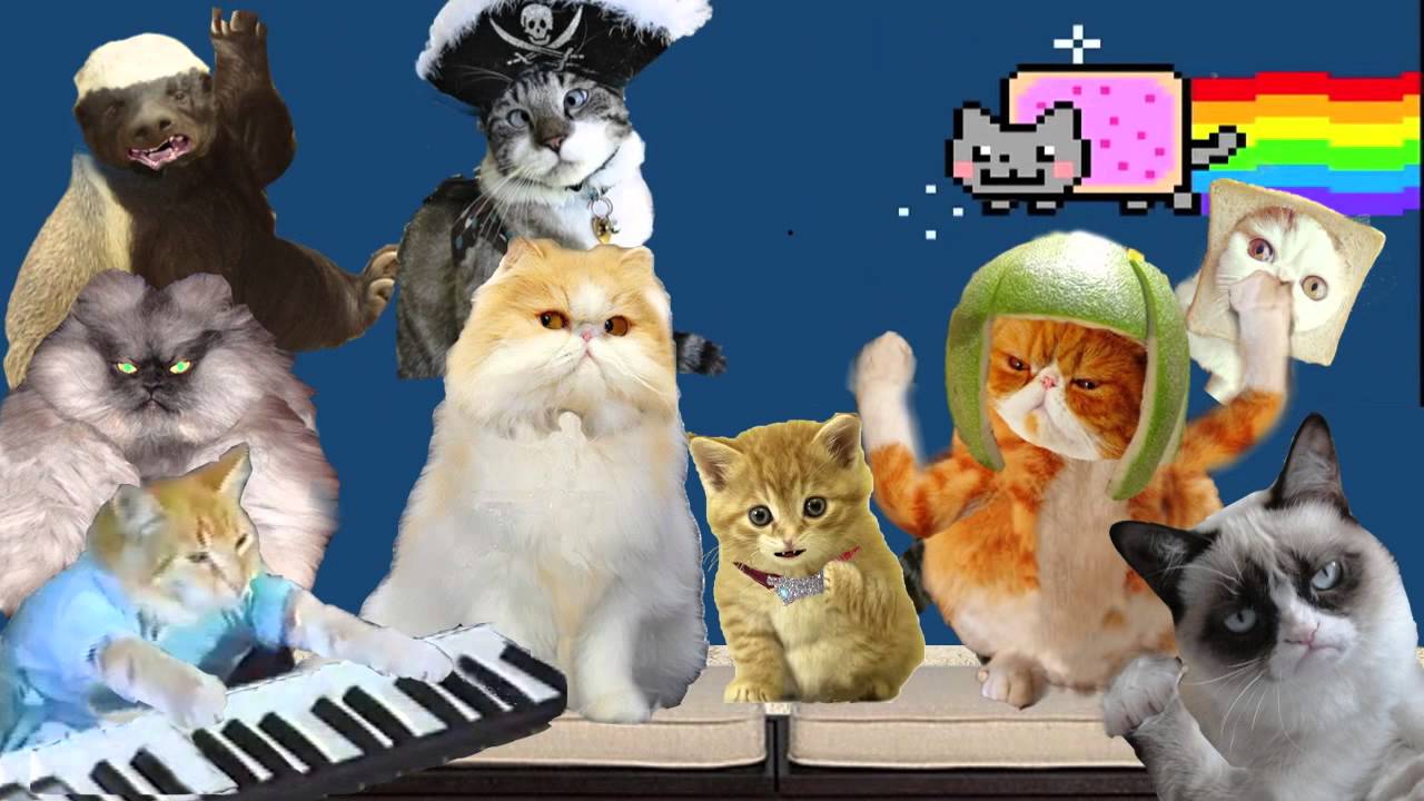 Harlem Shake V. 10,254 - FML Cats! Edition - YouTube