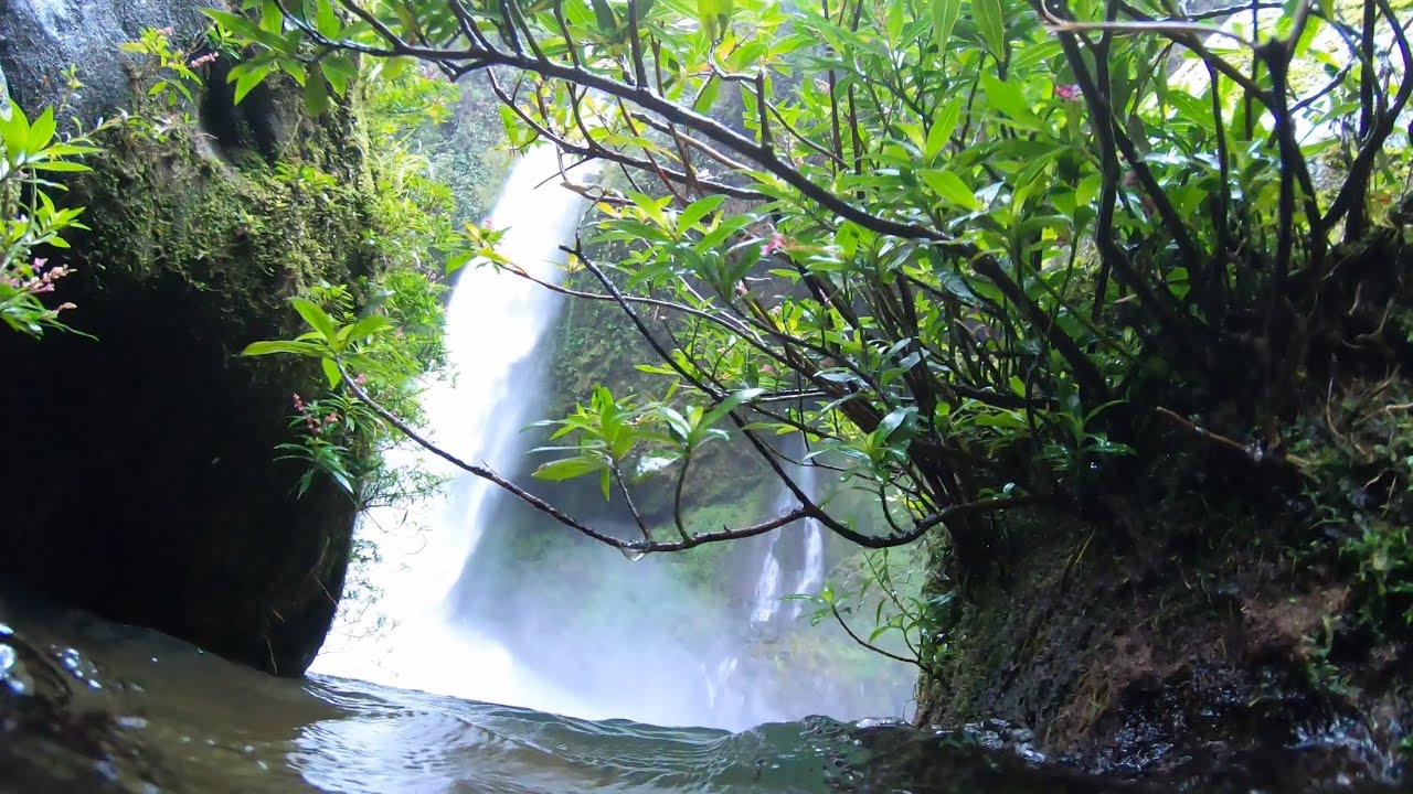 Las Cataratas del Río " Dos Novillos " - Pocora de Guápiles - Costa ...