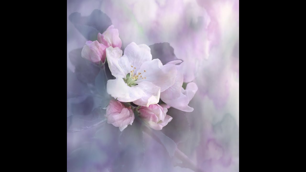 Soul Service Sunday 19 1 2025 - YouTube