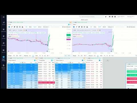 Webull Desktop 2023 05 16 06 29 30 AAPL, AMD, TAPE READING LEVEL 2 ...