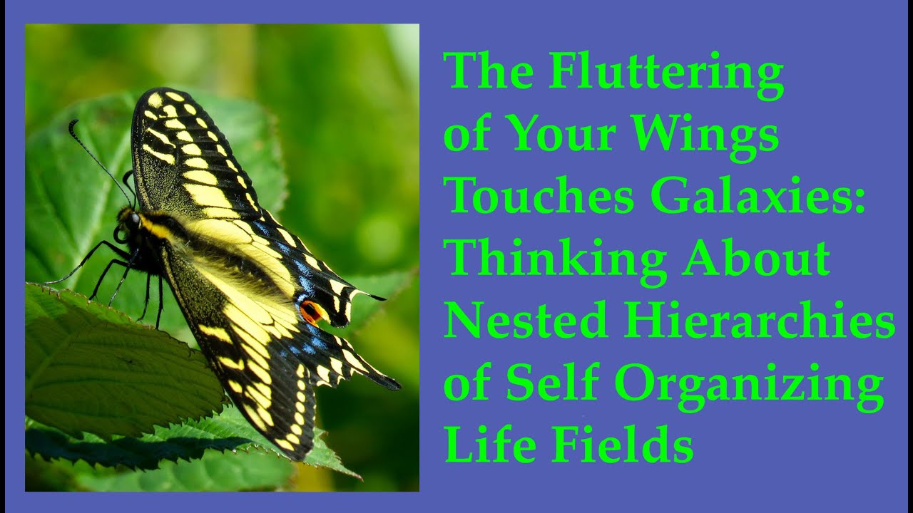Nested Hierarchies: The Fluttering of Your Wings Touches Galaxies - YouTube