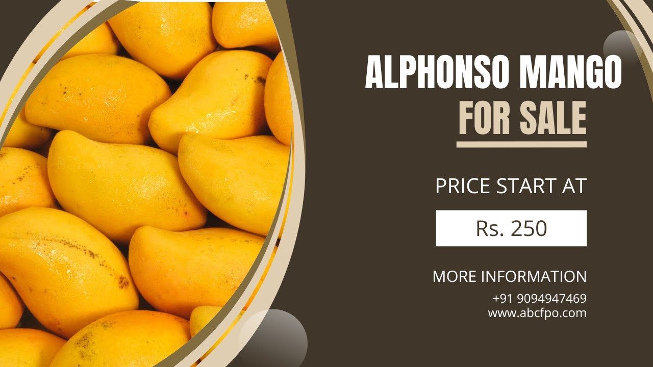 Alphonso Mango | ABC FPO | Organic Mangoes - YouTube