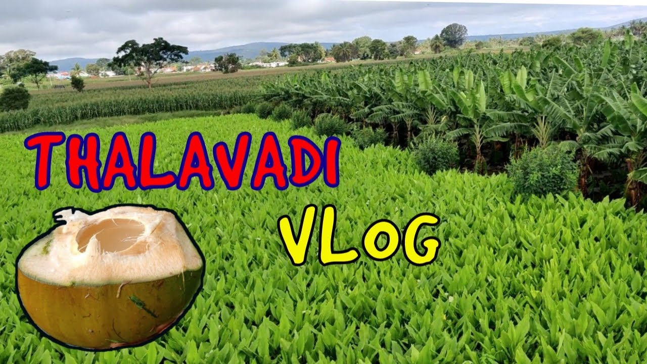Thalavadi Vlog - Dhimbam Road | 27 Hair pin bends | Thalavadi stay ...