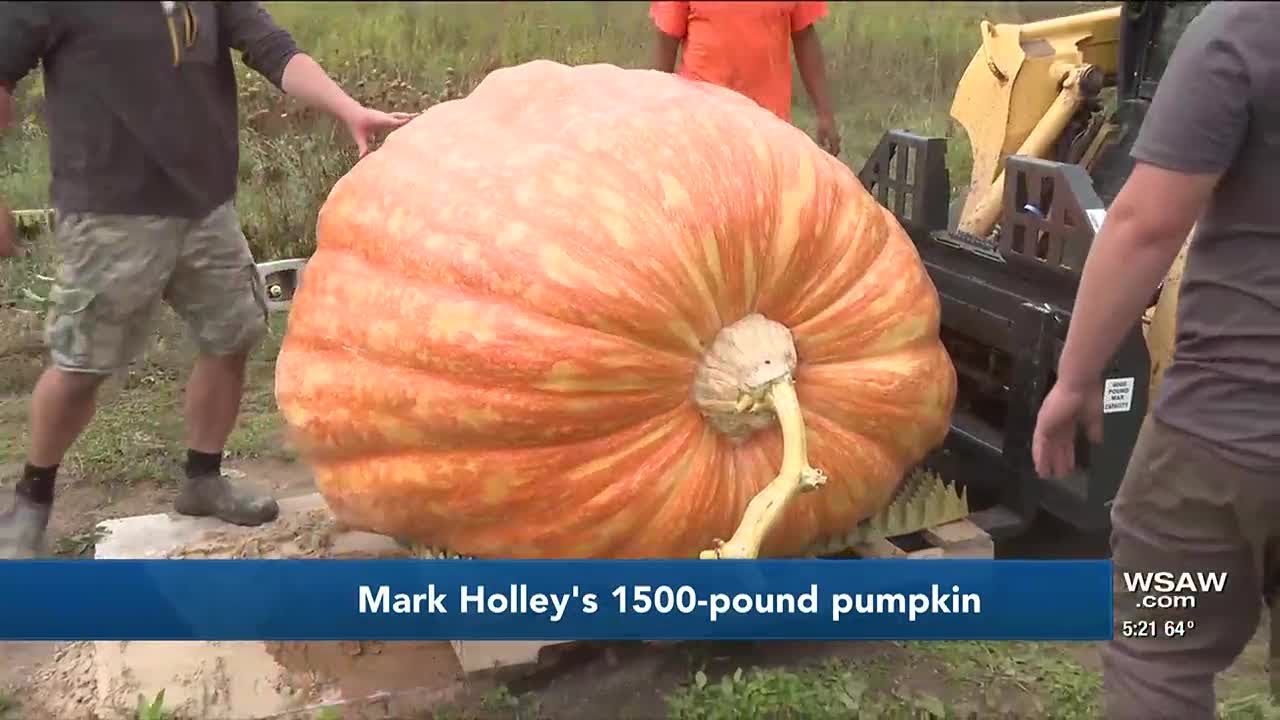 Meteorologist Mark Holley grows another huge #pumpkin - YouTube