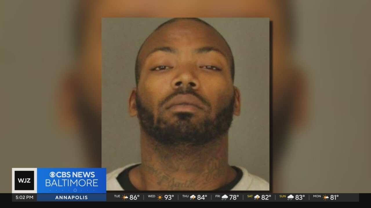 Baltimore tech CEO's murder suspect pleads guilty to attack of couple ...