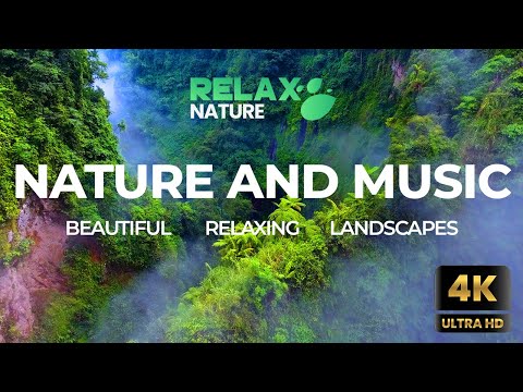 4K Escape to Serenity: 4K Nature Landscapes and Relaxing Music - Meditation, Sleep, Study - Ultra HD