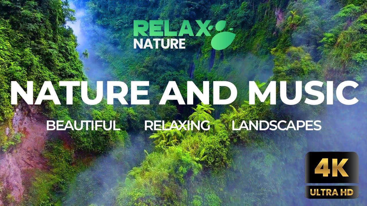 4K Escape to Serenity: 4K Nature Landscapes and Relaxing Music ...