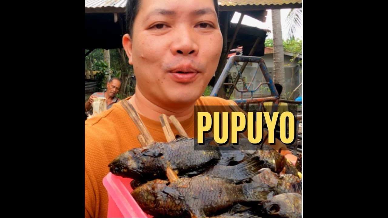 PUPUYO / Climbing Perch - YouTube