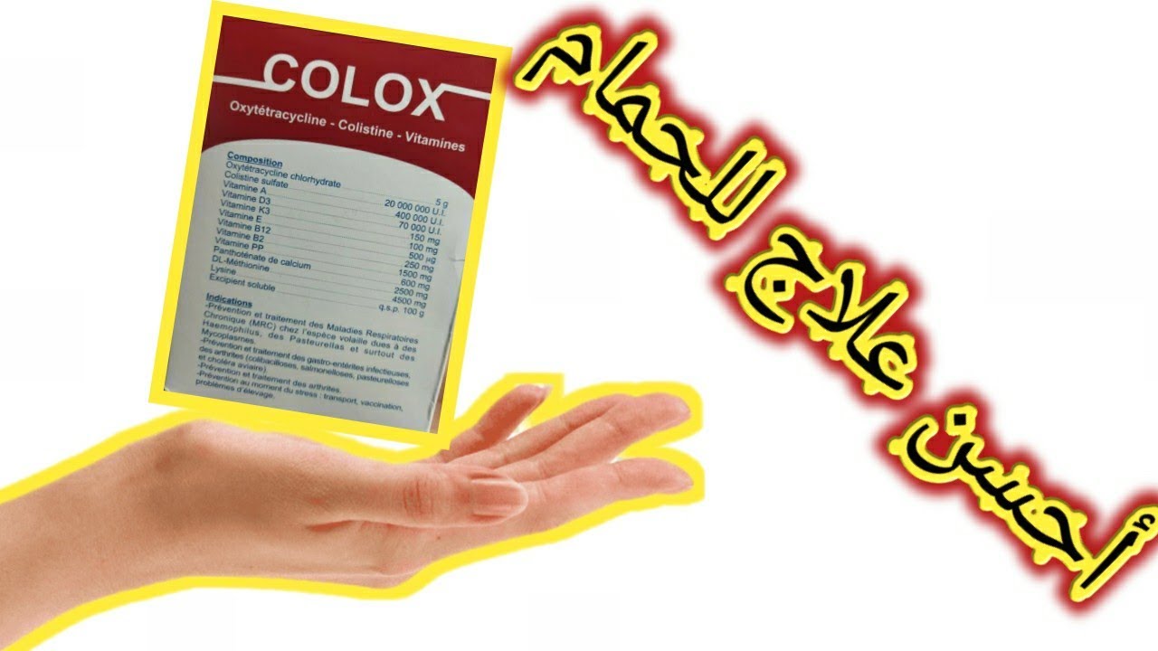 طريقة تقديم الدواء البيطري للحمام الزاجل(COLOX) - YouTube