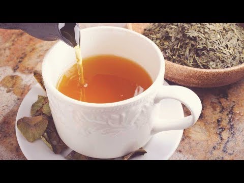 Te Verde Para Adelgazar 👌 Hojas De Te Verde En La Buena Salud
