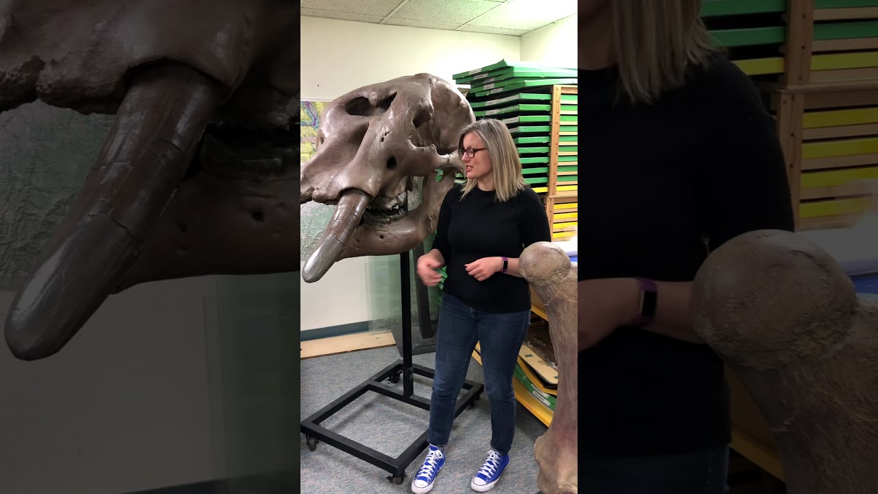 Ms.Bumpy-head: Discoveries from the Ice Age! - YouTube