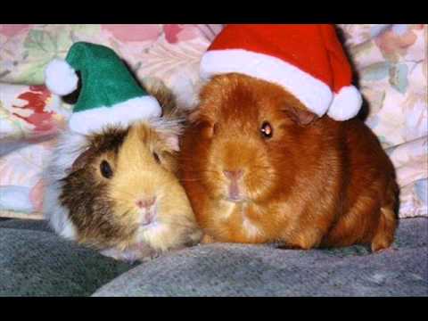 Carl Marshall Christmas Southern Soul Style - YouTube