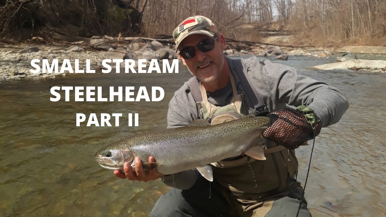 Small Stream Fly Fishing for Steelhead Part II - YouTube