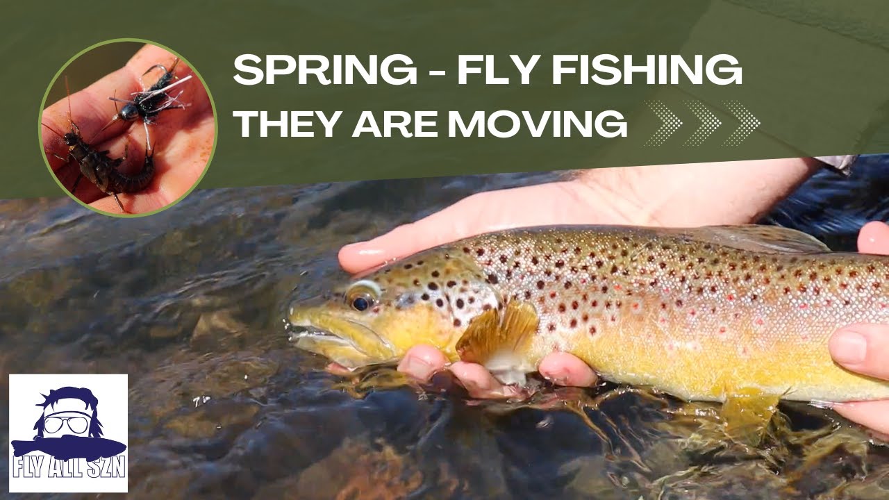 How to match the hatch | Sometimes it actually matters | Fly Fishing ...