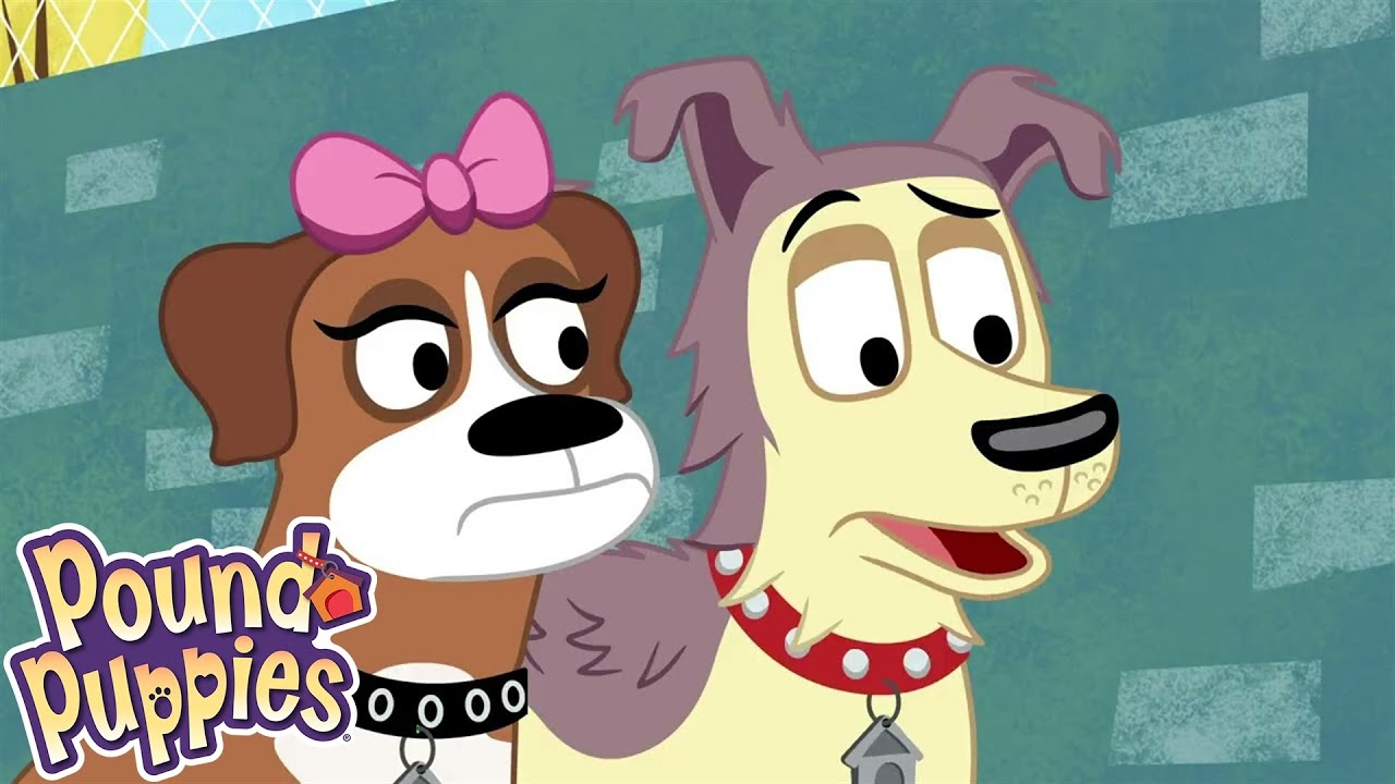 Pound Puppies | The Really Weird Dog | Season 1 | Pet Cartoon - YouTube